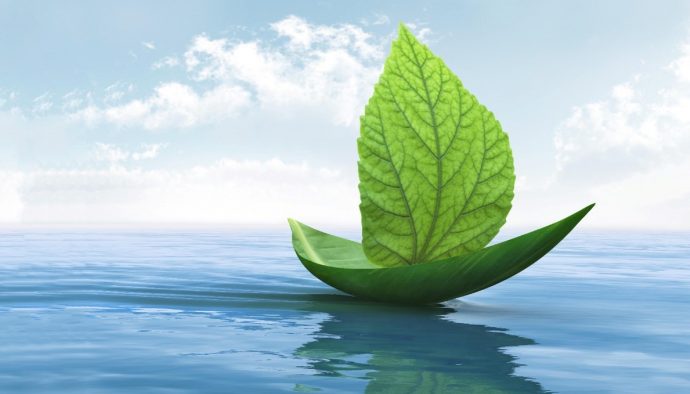 “Adapt, Innovate and Reduce” Sustainability Strategy | GAC